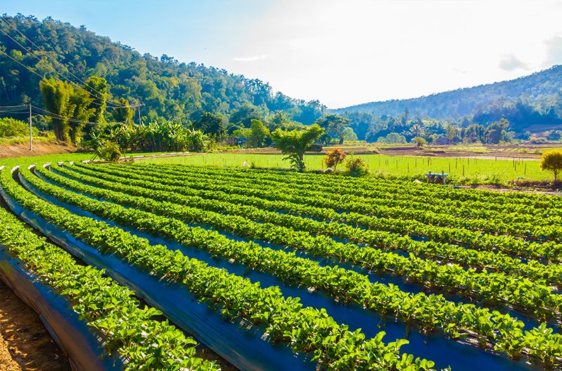 Agrichemical Certified Handler - Harris Training Services Ltd