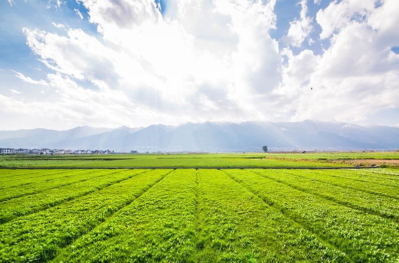 Growsafe Training Courses - Harris Training Services Ltd