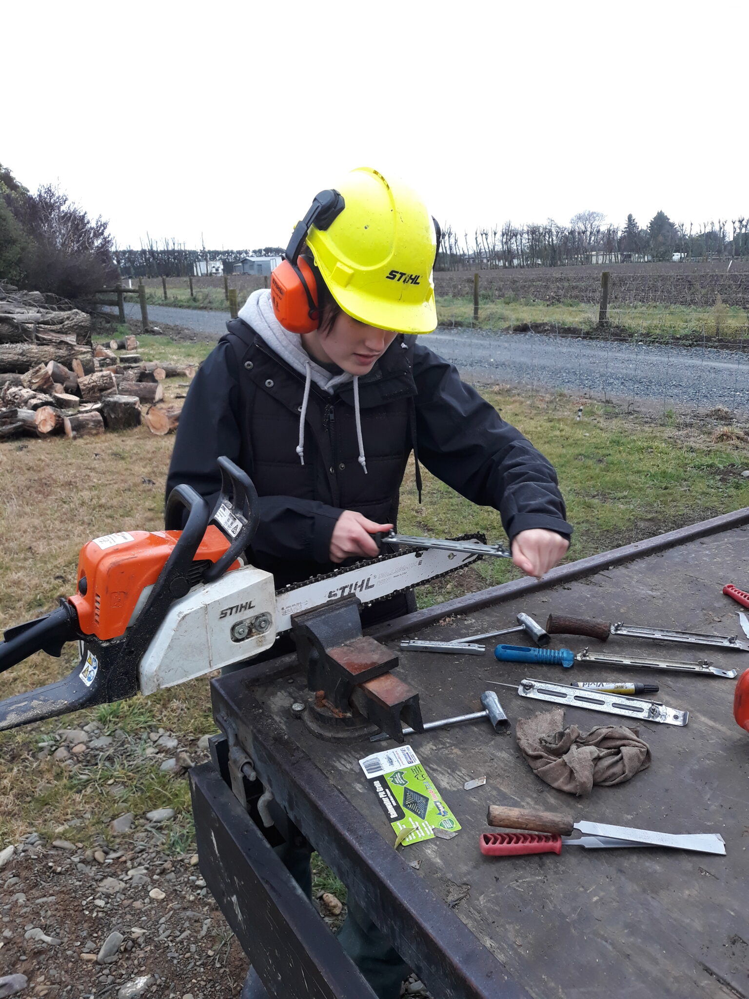 Chainsaw Training Course - Harris Training Services Ltd