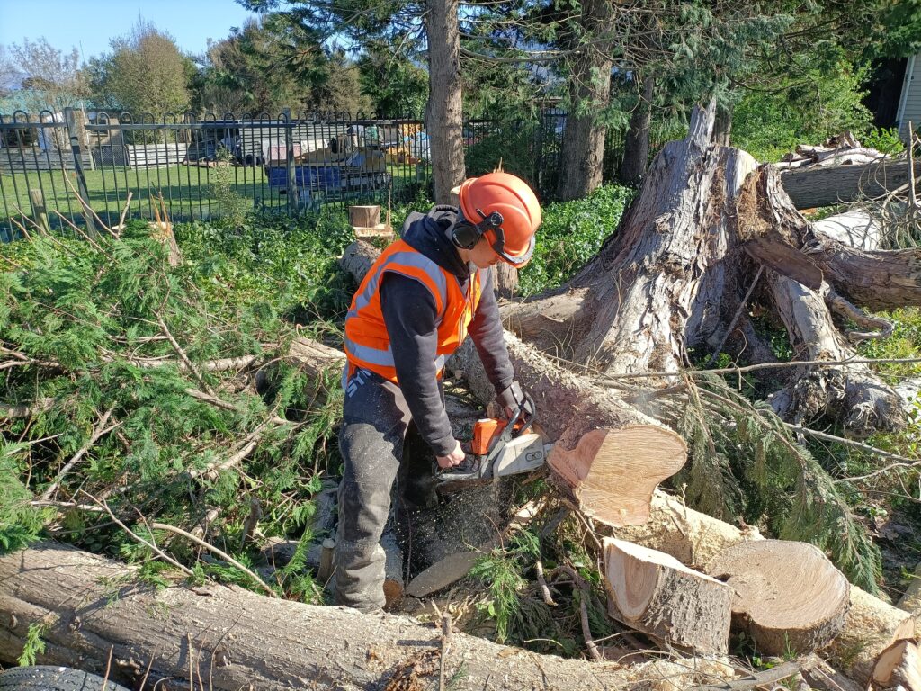 Chainsaw Course (Rangiora) Sorry fully booked - Harris Training ...